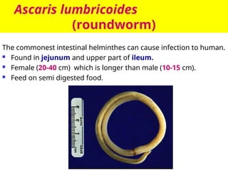 12- helminths and Arthropodes parasites.ppt