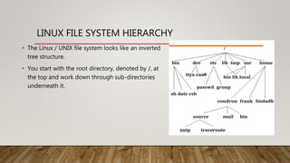 12 introduction to Linux OS | PPT