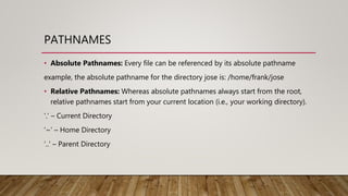 12-introductiontolinuxos-190907073928 | PPT
