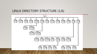 12-introductiontolinuxos-190907073928 | PPT