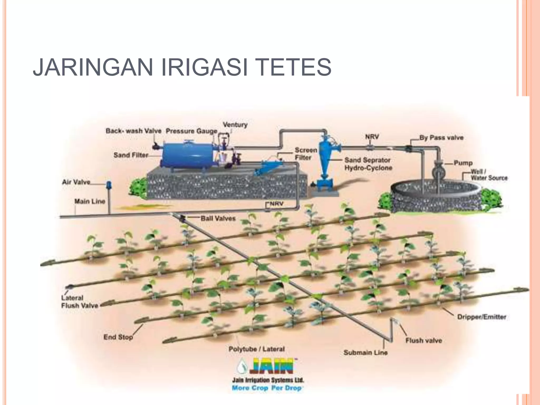 12 irigasi tetes | PPTX