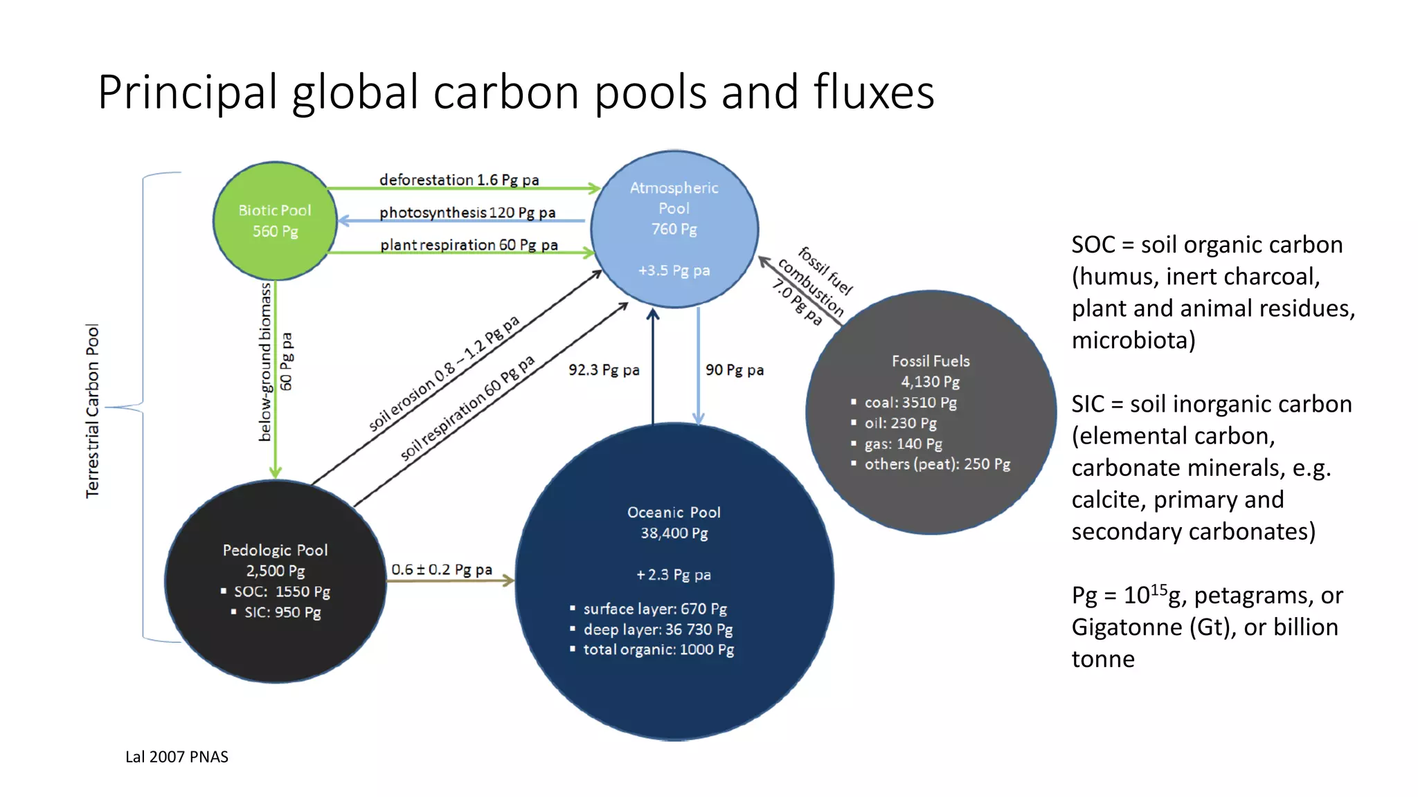 “Carbon dynamics in ecosystems: a global perspective” – Dr Lan Qie ...