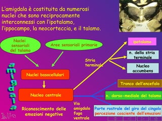 12 le emozioni | PPT