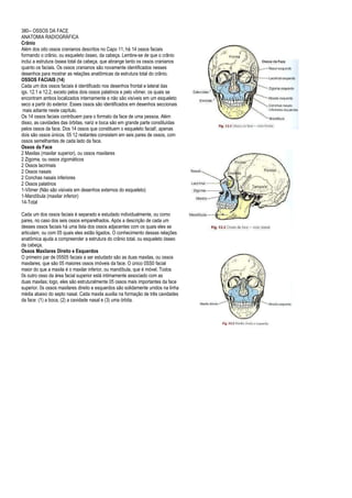 12 liv rx ossos da face 379 a 413 | DOC