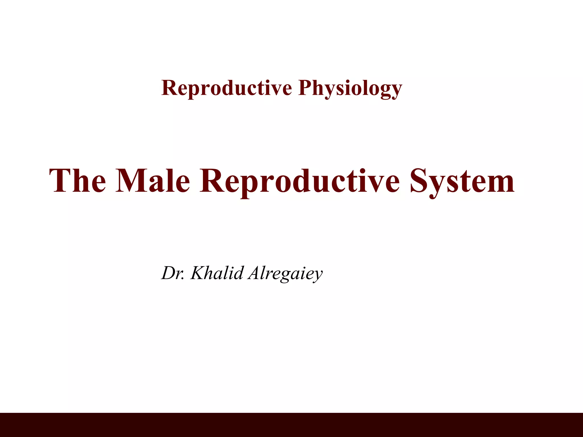 1&2-Male Reproductive system.ppt | Infertility | Reproductive Health