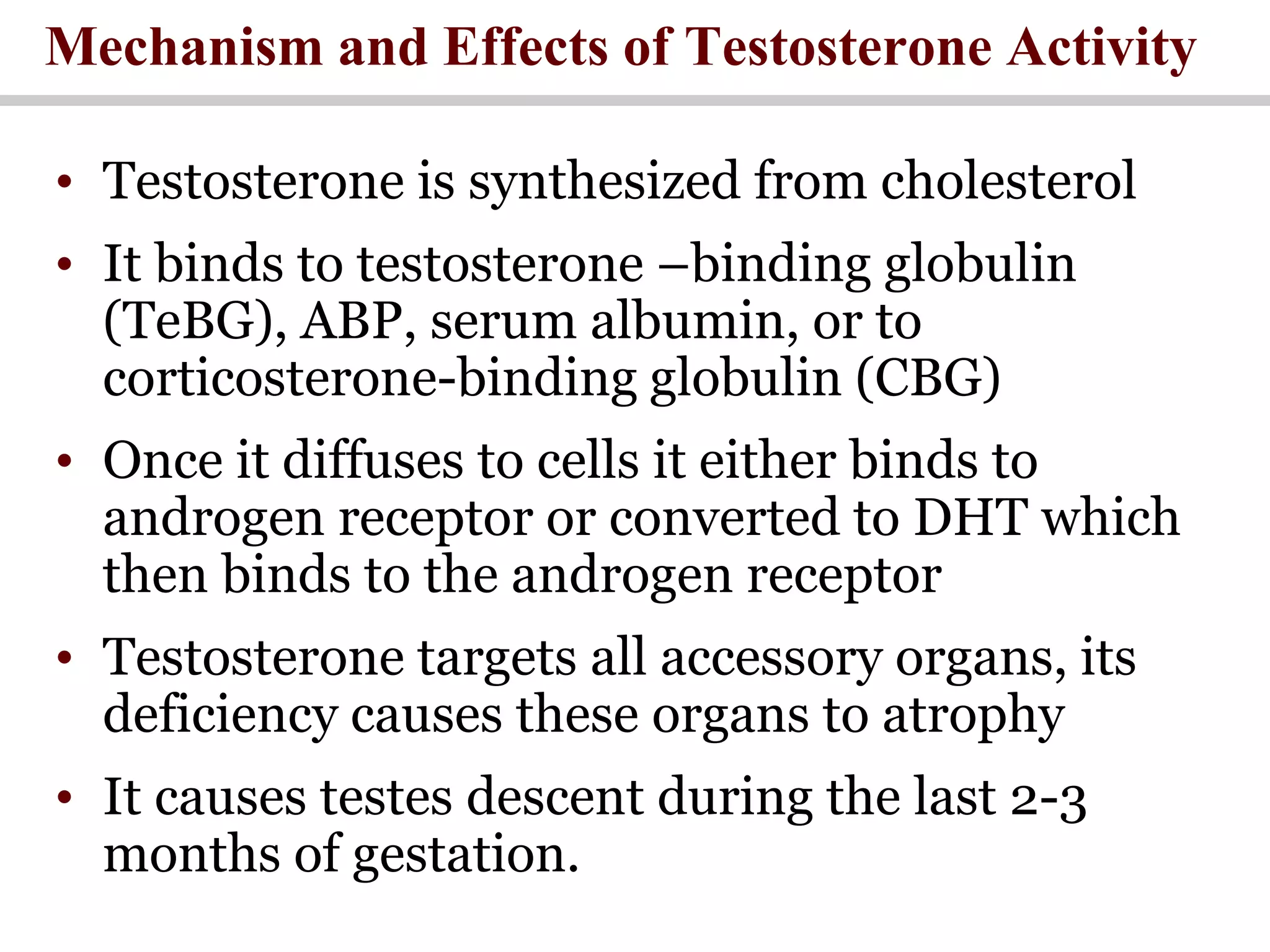 1&2-Male Reproductive system.ppt | Infertility | Reproductive Health
