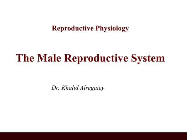 1&2-Male Reproductive system.ppt external internal | PPT