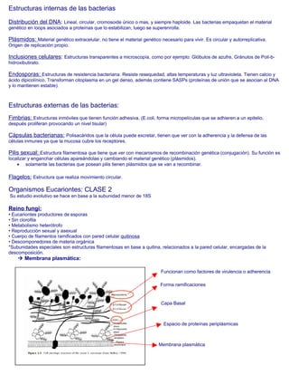Resumen Microbiologia 1 | DOC