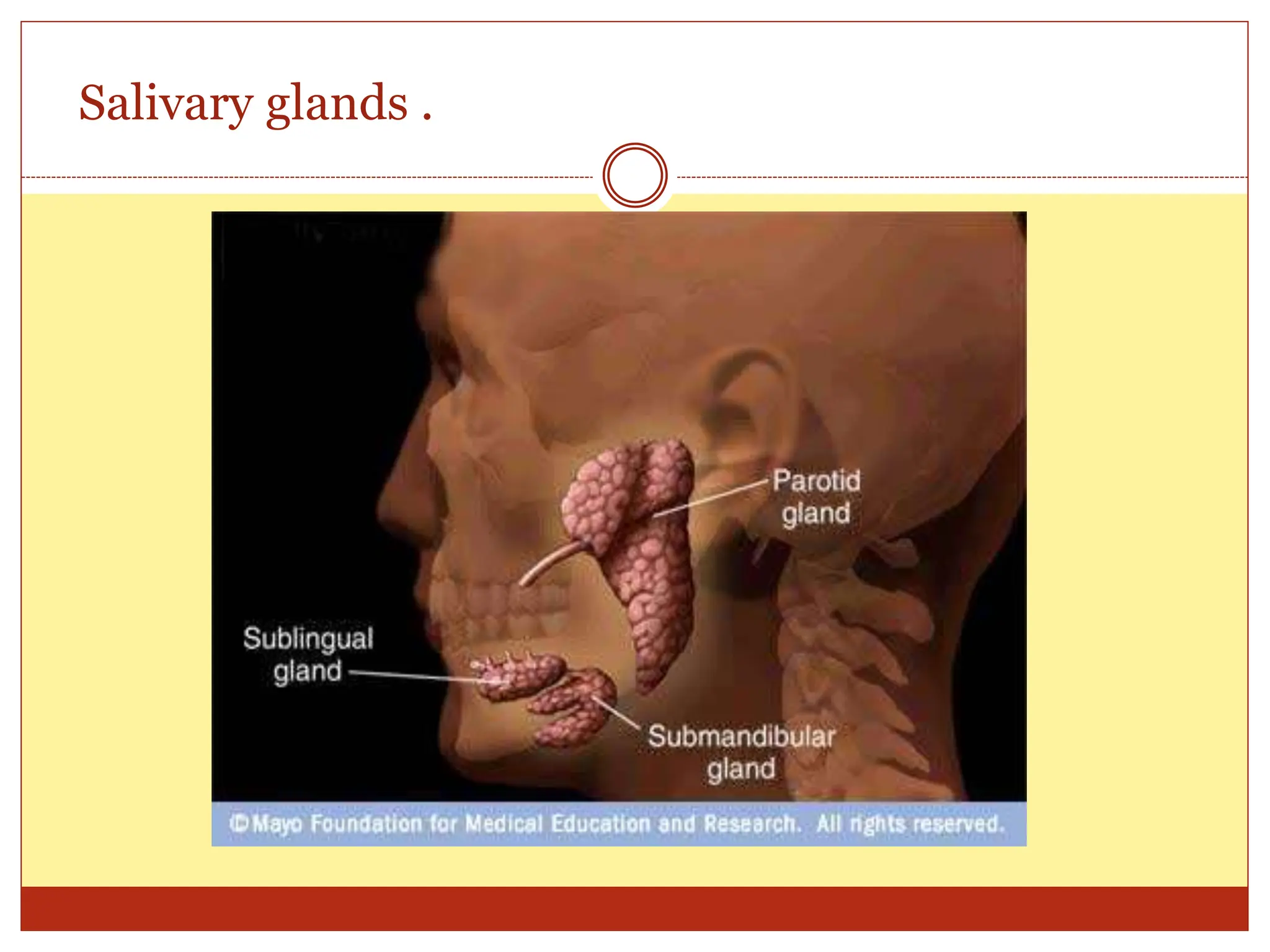 12 Mumps (parotitis) gendongan pada anak | PPT | Ear, Nose and Throat ...