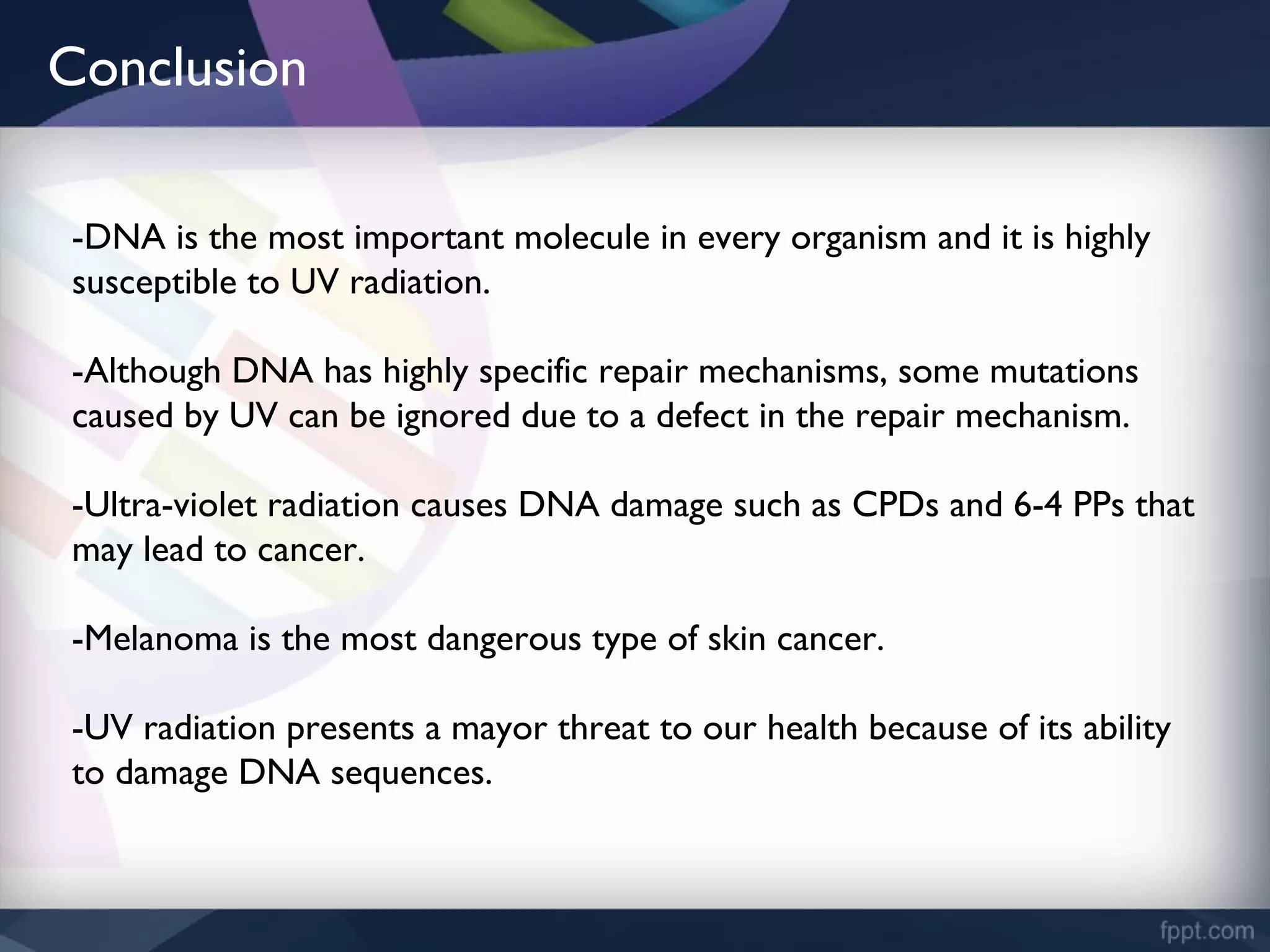 DNA Damage Caused by Ultraviolet Radiation | PPT