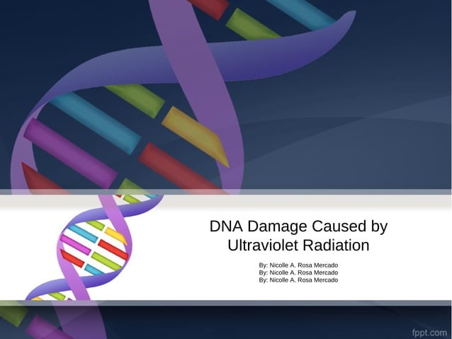 DNA Damage Caused by Ultraviolet Radiation | PPT
