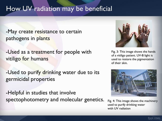 DNA Damage Caused by Ultraviolet Radiation | PPT