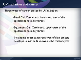 DNA Damage Caused by Ultraviolet Radiation | PPT