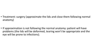 12-Ocular emergencies and common eye disorders.pptx