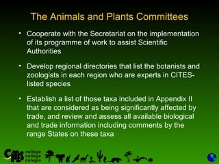 Permanent Committees | PPT