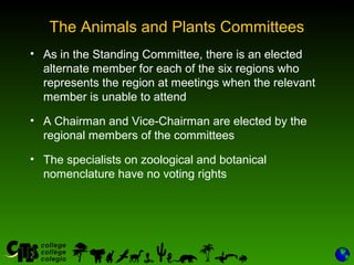 Permanent Committees | PPT