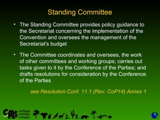 Permanent Committees | PPT