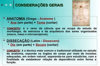 Planos e Terminologia da Anatomia Humana | PPT