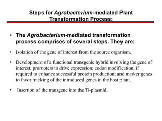 12-Plant Delivery system.pptx