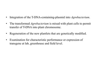 12-Plant Delivery system.pptx