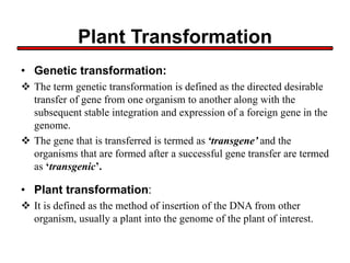12-Plant Delivery system.pptx | Biotech and Biomedical Industry ...