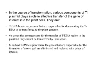 12-Plant Delivery system.pptx | Biotech and Biomedical Industry ...