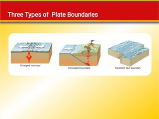 12-Plate_Tectonic.pdf