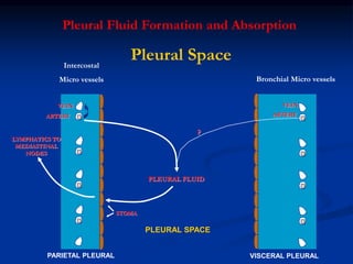 12-PLEURAL EFFUSION.ppt