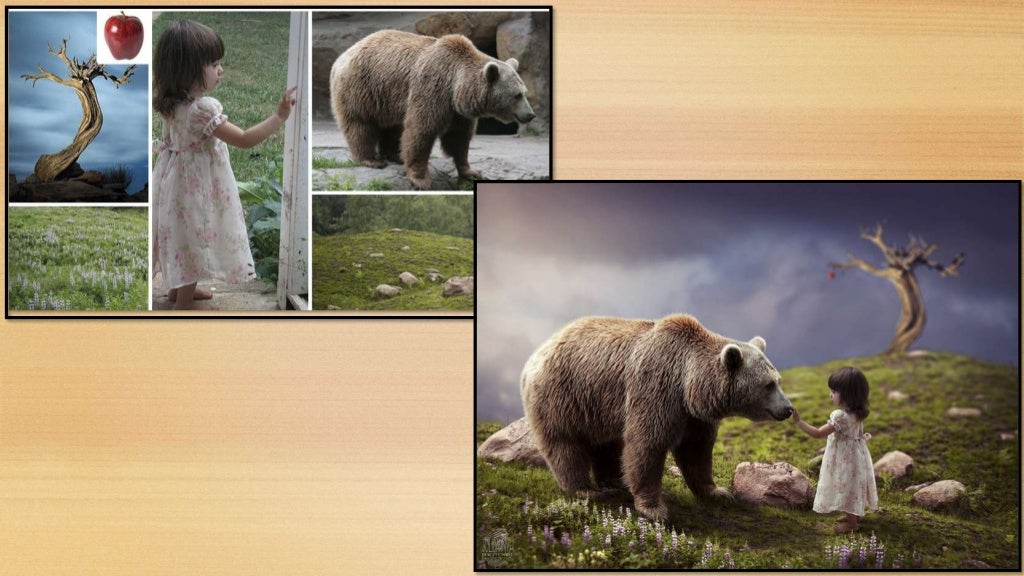Principles And Basic Techniques Of Image Manipulation Principles And Basic Techniques Of Image Manipulation