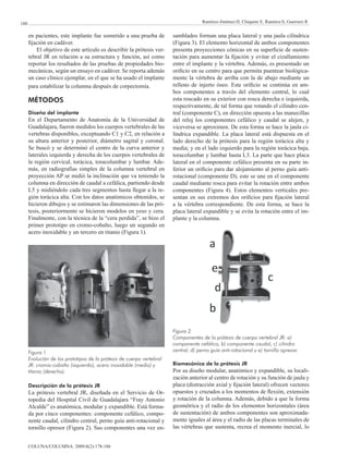 12. prótesis de cuerpo vertebral jr | PDF