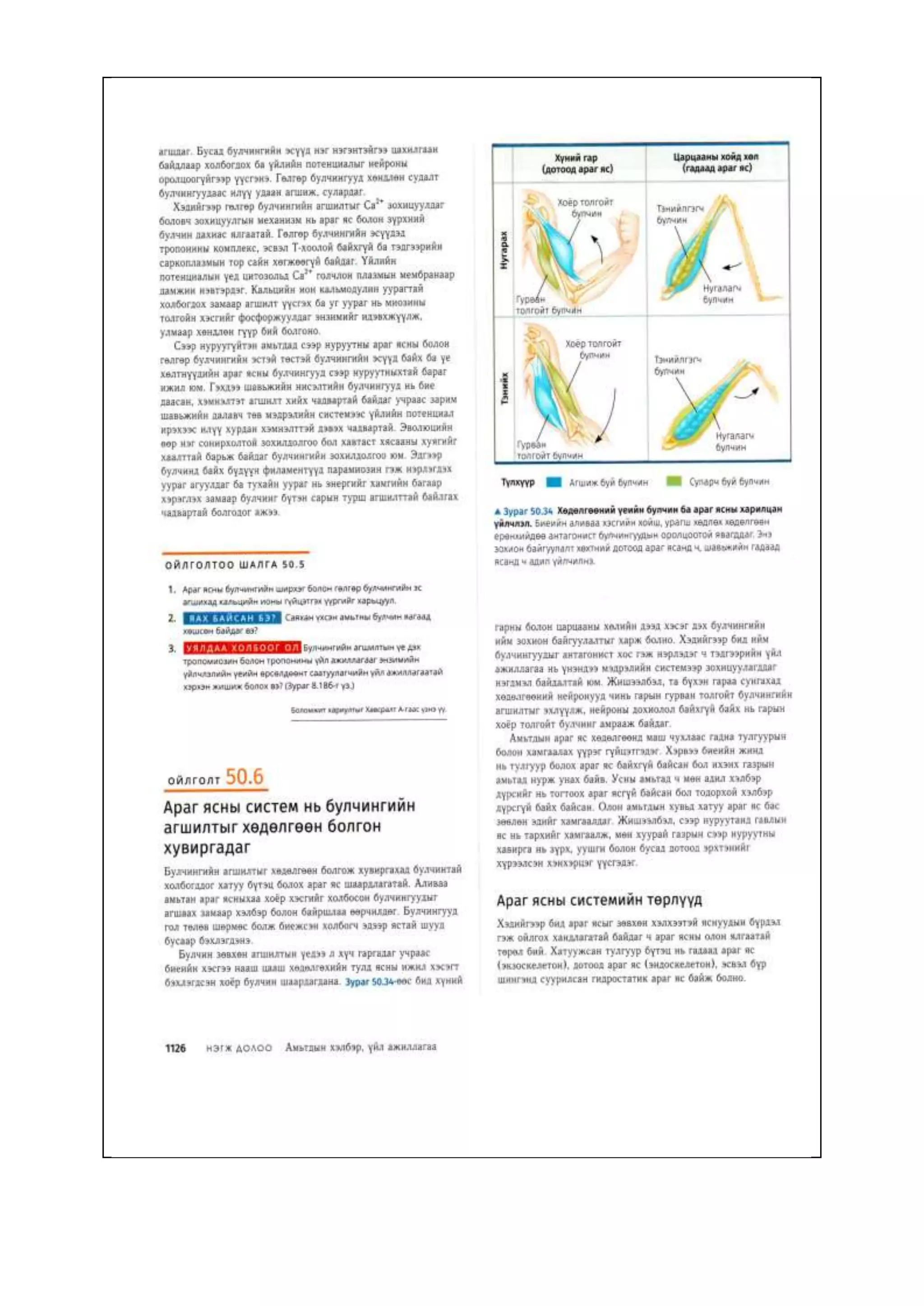 12 r angi biologi angiin daalgavar | DOCX