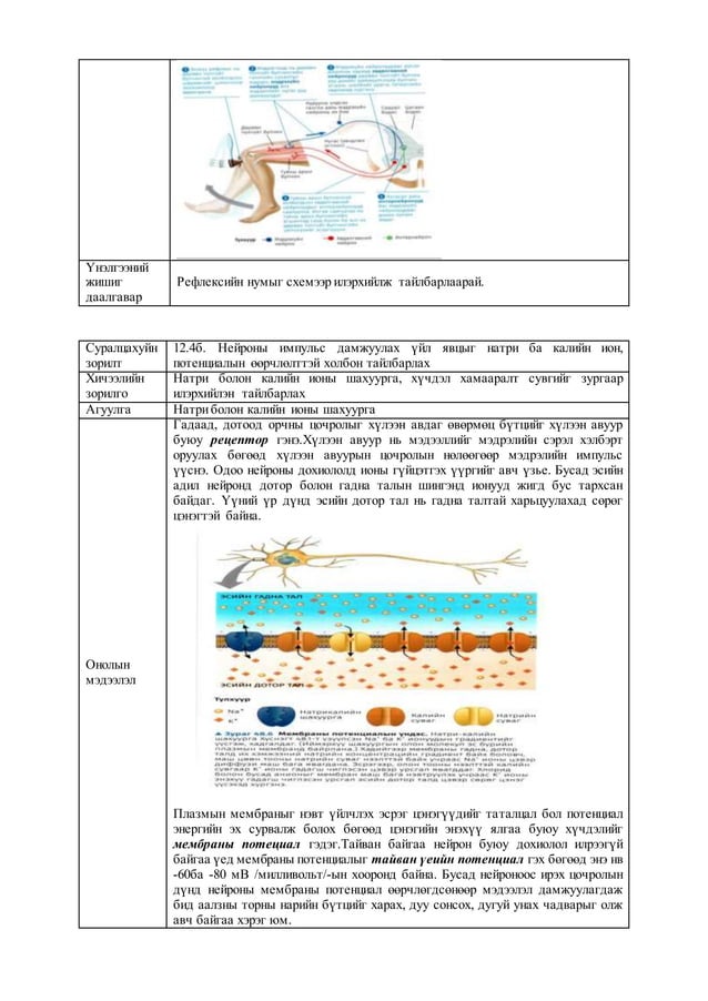 12 r angi biologi angiin daalgavar | DOCX