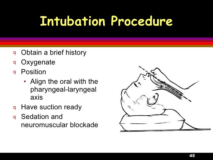 Printable Intubated Lungs