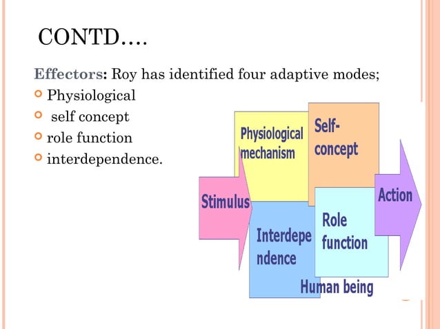 12. roy's theory | PPT