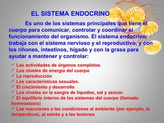 12 sistema endócrino power point color | PPT