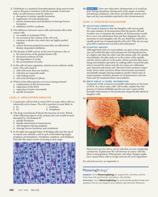 12 the cell cycle | PDF