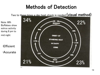 12 ther 608 estrous signs & methods of detection | PPT