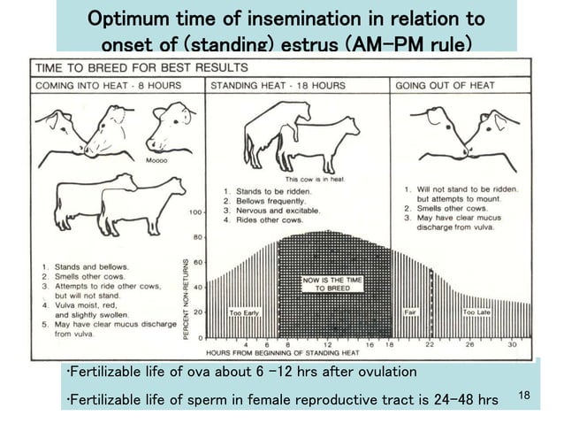12 ther 608 estrous signs & methods of detection | PPT