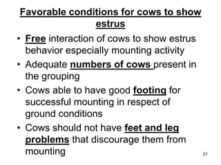 12 ther 608 estrous signs & methods of detection | PPT