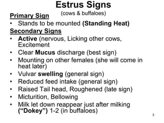 12 ther 608 estrous signs & methods of detection | PPT