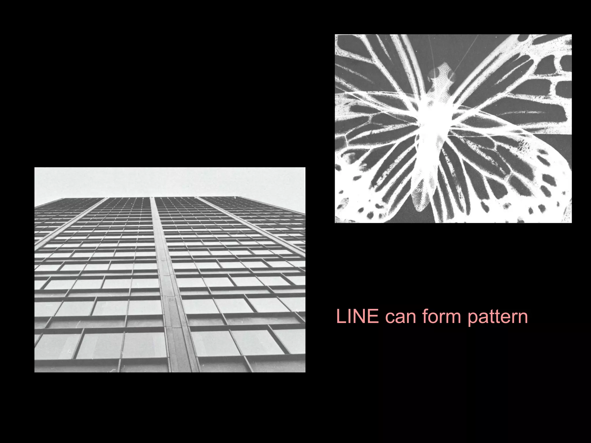 12 the visual elements -line | PPT