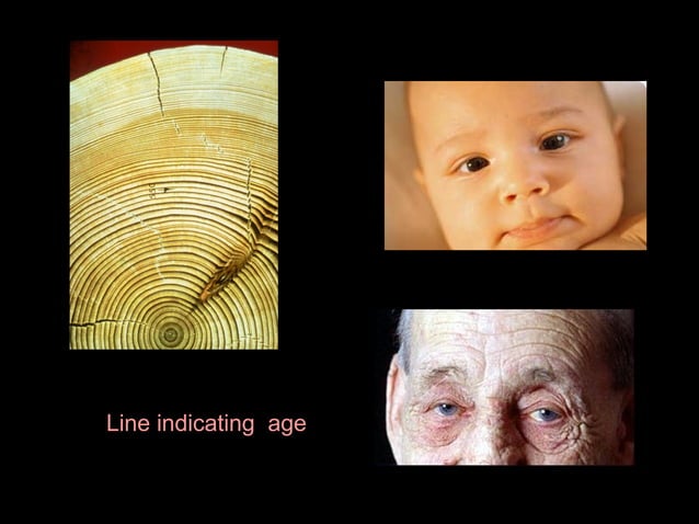 12 the visual elements -line | PPT