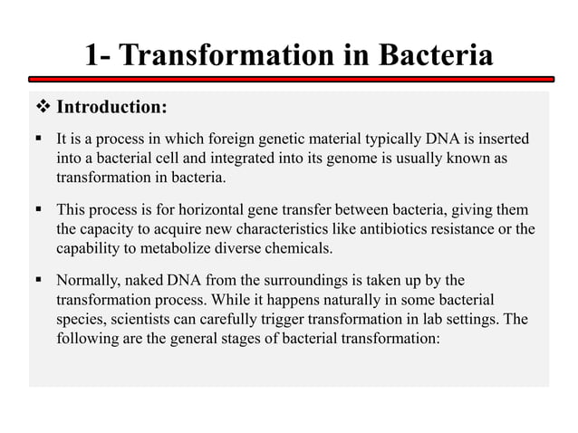 12-Transformation in Bacteria & Plant.pptx