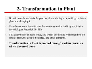12-Transformation in Bacteria & Plant.pptx