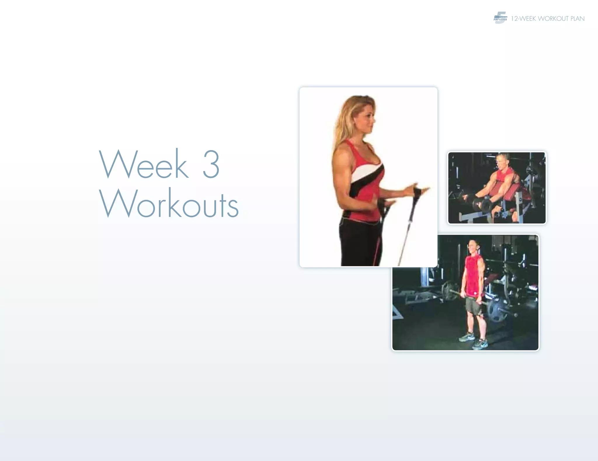 12-WEEK WORKOUT PLAN | PPT