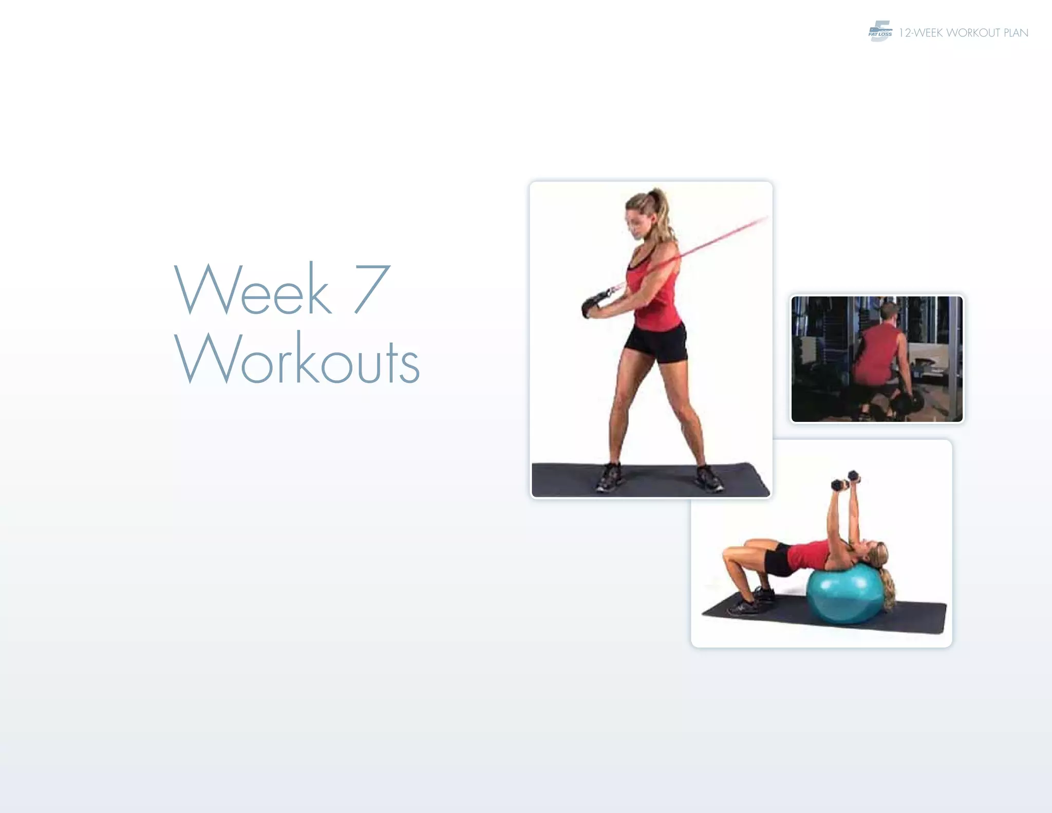 12-WEEK WORKOUT PLAN | PPT