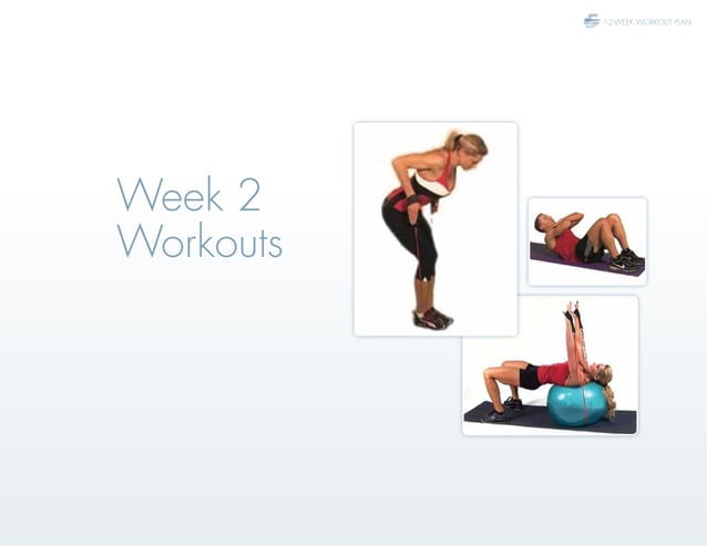 12-WEEK WORKOUT PLAN | PPT