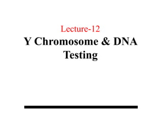 Y Chromosome & DNA Testing in Forensic Science.pptx