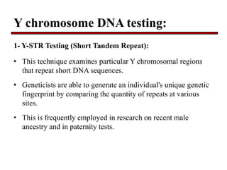 Y Chromosome & DNA Testing in Forensic Science.pptx