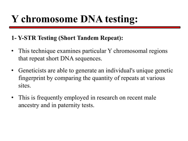 Y Chromosome & DNA Testing in Forensic Science.pptx